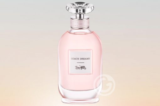 Coach Dreams Eau de Parfum Feminino - GiraOfertas